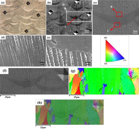 Metallographic Microstructure Sem Microstructure And Orientation Map Download Scientific