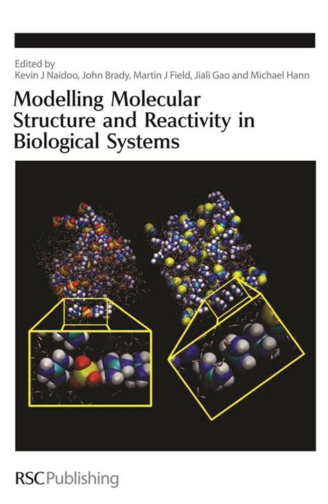 Chemical Reactivity In Biological Surroundings Modelling Molecular