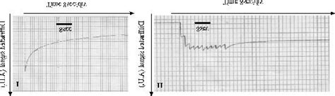 31 Real Time Diffraction Efficiency Measurements Showing The Dynamics