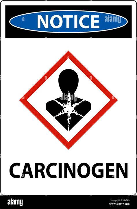 Notice Carcinogen Ghs Sign On White Background Stock Vector Image And Art