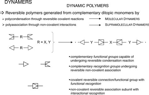 Dynamers Dynamic Reversible Polymers Of Molecular Covalent And Download Scientific Diagram