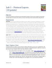 Lab Protocol Layers Docx Lab Protocol Layers Points Objective To Learn How Protocols