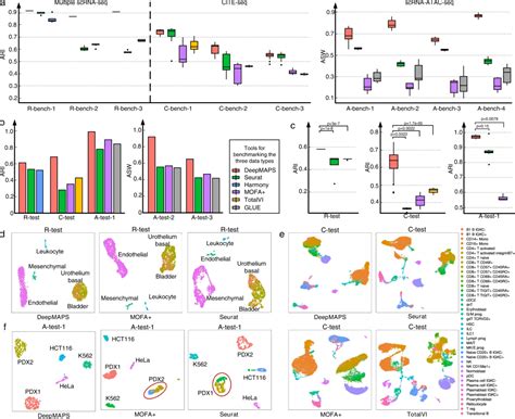 山东大学团队提出基于异构图 Transformer 的单细胞生物网络推理基因关系deepmaps