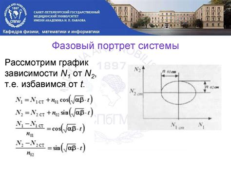 Математическое моделирование в биологии и медицине презентация онлайн