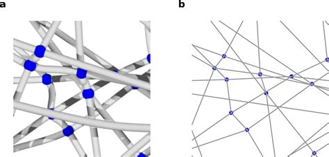 Constitutive Modelling Of Fibre Networks With Stretch Distributions Experimental Continuum