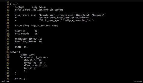 unknown directive “stub status“ in usr local nginx conf nf xx