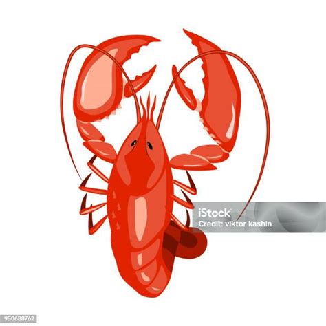 랍스터 벡터 일러스트입니다 흰색 바탕에 고립 된 개체입니다 해산물 제품 레스토랑 메뉴입니다 손으로 그린 그림 갈고리 발톱에 대한