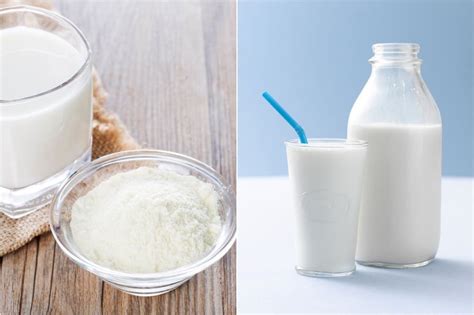 6 Powdered Milk Facts You Didnt Know Goandgoo®com Know More