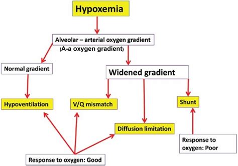 Hypoxemia Definition Symptoms Diagnosis Treatment Prognosis