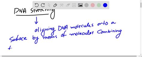 Solvedsequencing By Hybridization One Experimental Procedure For