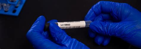 High Path H5n1 Influenza Testing In Pets Veterinary Diagnostic Lab