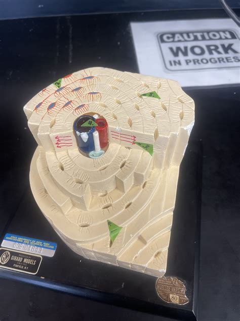 Osteon Model Diagram Quizlet