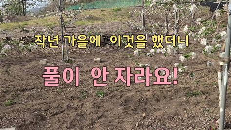 사과밭 로터리 작업을 했더니 너무 좋아요~풀이 안나요 Youtube