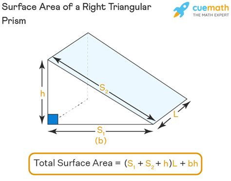 Net Of A Right Angled Triangular Prism