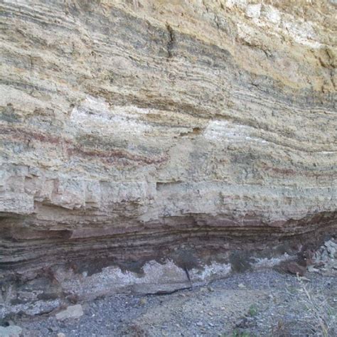 Oncolites And Nautiliod In The Yeso Formation On The South Side Of Cat