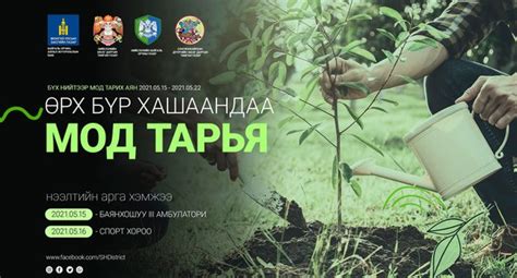 СХД Т ӨРХ БҮР ХАШААНДАА МОД ТАРЬЯ АРГА ХЭМЖЭЭ БОЛНО