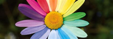 Supporting Lgbtq Employees Providing A Safe And Inclusive Workplace