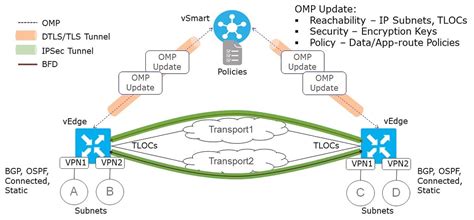 Overlay Management Protocol Omp