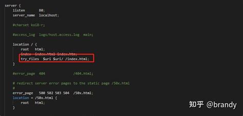 History模式在nginx中配置 知乎