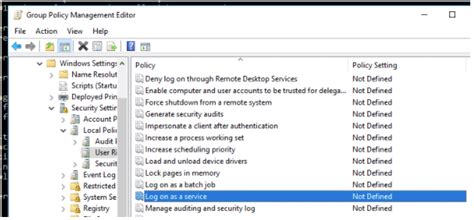 using a domain user for nifi windows service
