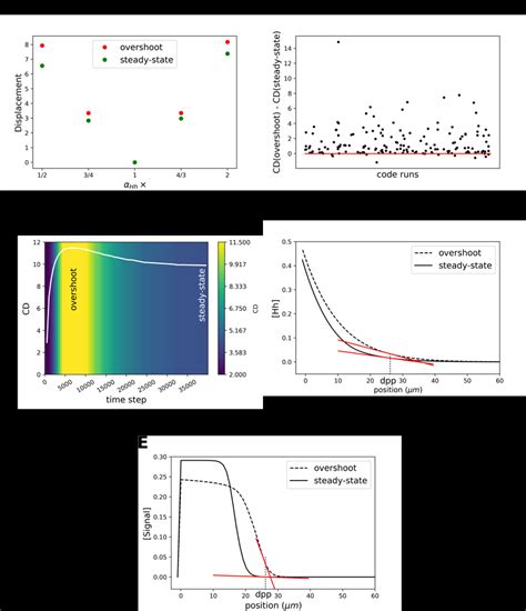 Analysis Of Robustness And Precision In A More Explicit Model Of Hh