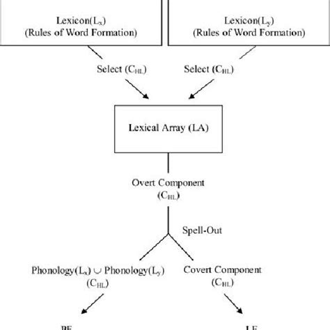 A Minimalist Approach To Codeswitching Download Scientific Diagram