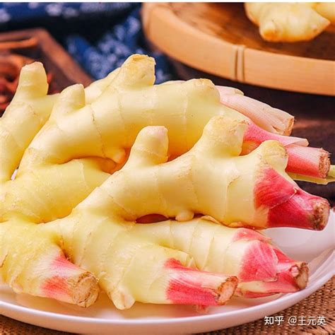 洪应明菜根传承人半生坚信嚼得菜根百事可做 知乎