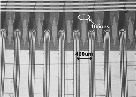 Figure 2 From Development Of A Two Dimensional Multigrid Type Microstrip Gas Chamber Using