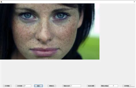 Opencv Mat对象与cimage对象间的数据传输实例opencv Mat Cimage Csdn博客