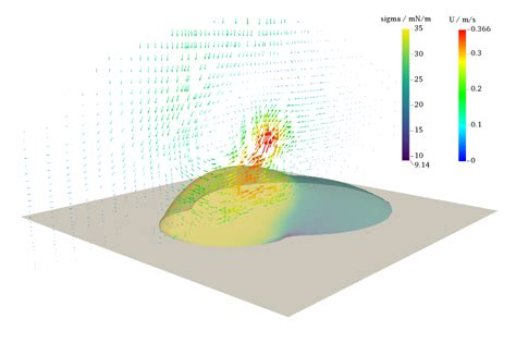 Antritter Thomasnumerical Simulation And Analysis Of Wetting