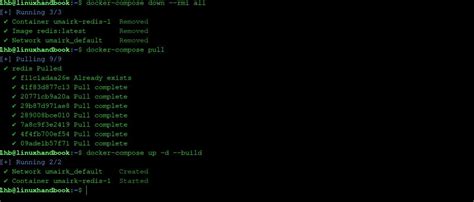 How To Make Docker Compose To Always Use The Latest Image