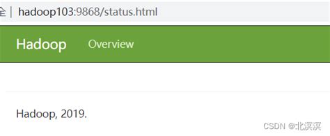 （八）大数据实战——hadoop集群组件启动及服务组件配置修改大数据resourcemanager怎么启动 Csdn博客