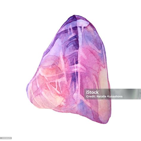 흰색 배경에 격리 된 수채화 미네랄 크리스탈 핑크 보라색 석영 명상 사무용품 스티커 스케치북 카드 축하 벽지를 위한 손으로 그린 보물 보석 0명에 대한 스톡 벡터 아트 및