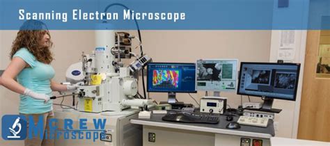 How Scanning Electron Microscope Works Microscope Crew