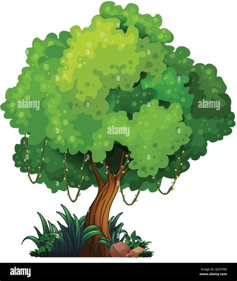 Big Tree Isolated Cartoon Illustration Stock Vector Image Art Alamy