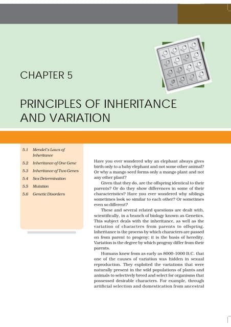 Ncert Solutions Class 12 Biology Chapter 5 Principles Of Inheritance