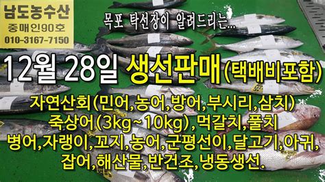 12월 28일판매 생선 자연산회민어농어삼치 죽상어 먹갈치 풀치 병어 자랭이병어 덕대 참돔 군평선이 잡어 아귀 해산물 냉목포 남도농수산