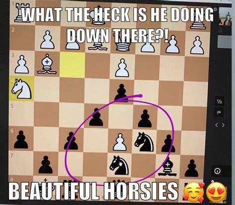 Chess Memes Chess Forums
