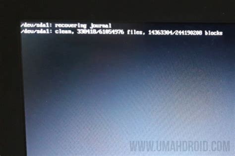 Menghapus Dev Sda Clean Saat Booting Ubuntu Linux Mint Dll Umahdroid