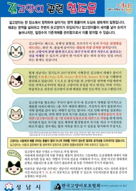 성남시의 길고양이 관련 협조문 인스티즈 instiz 이슈 카테고리