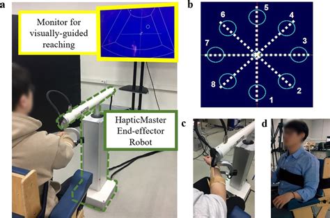 Experimental Setup For Validation Experiments A Visually Guided