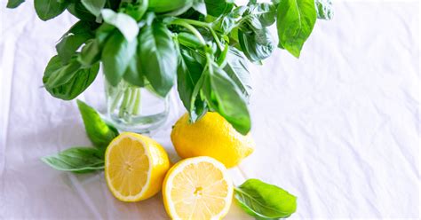 What Is The Difference Between Limes And Lemons Hogr Blog