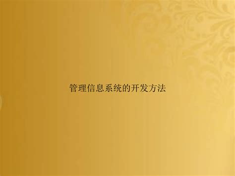 管理信息系统的开发方法 Word文档免费下载 亿佰文档网