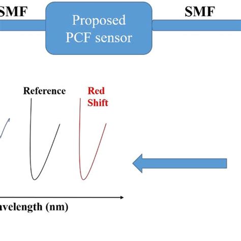 Complete Setup Of The Sensing Process For Proposed Sensor Download Scientific Diagram