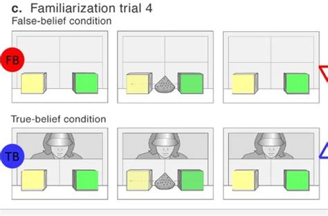 52 Implicit And Explicit Theory Of Mind Flashcards Quizlet