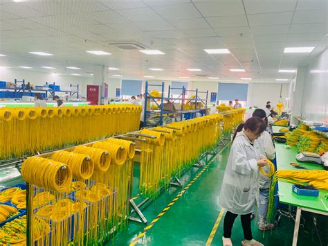 Mpo Mtp Patch Cord Fiber Patch Cord