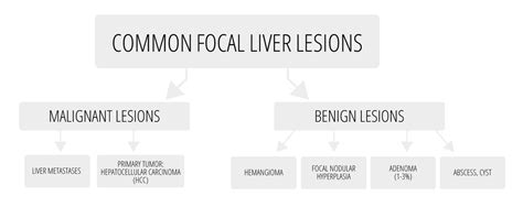 What Are Focal Liver Lesions Sparkle