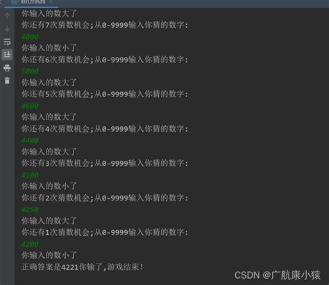 Java编程：猜数字游戏与素数判断 Csdn博客