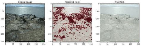 Automated Penguin Detection In Natural Habitat Using Deep Learning My Framer Site