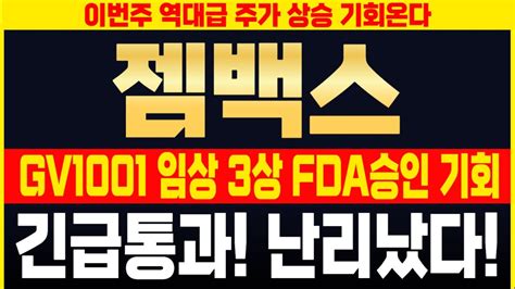 젬백스 주가전망 단독속보 미국 Fda승인 기회 임상 3상 진행 기술료 5조원 취득 가능성 확보 젬백스 젬백스주가